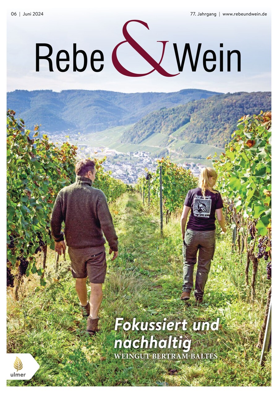 Weinbau und Weinwirtschaft - Rebe & Wein