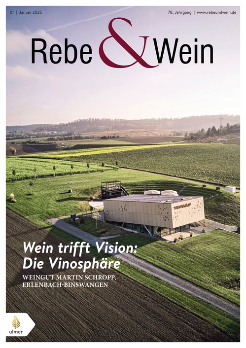 Weinbau und Weinwirtschaft - Rebe & Wein
