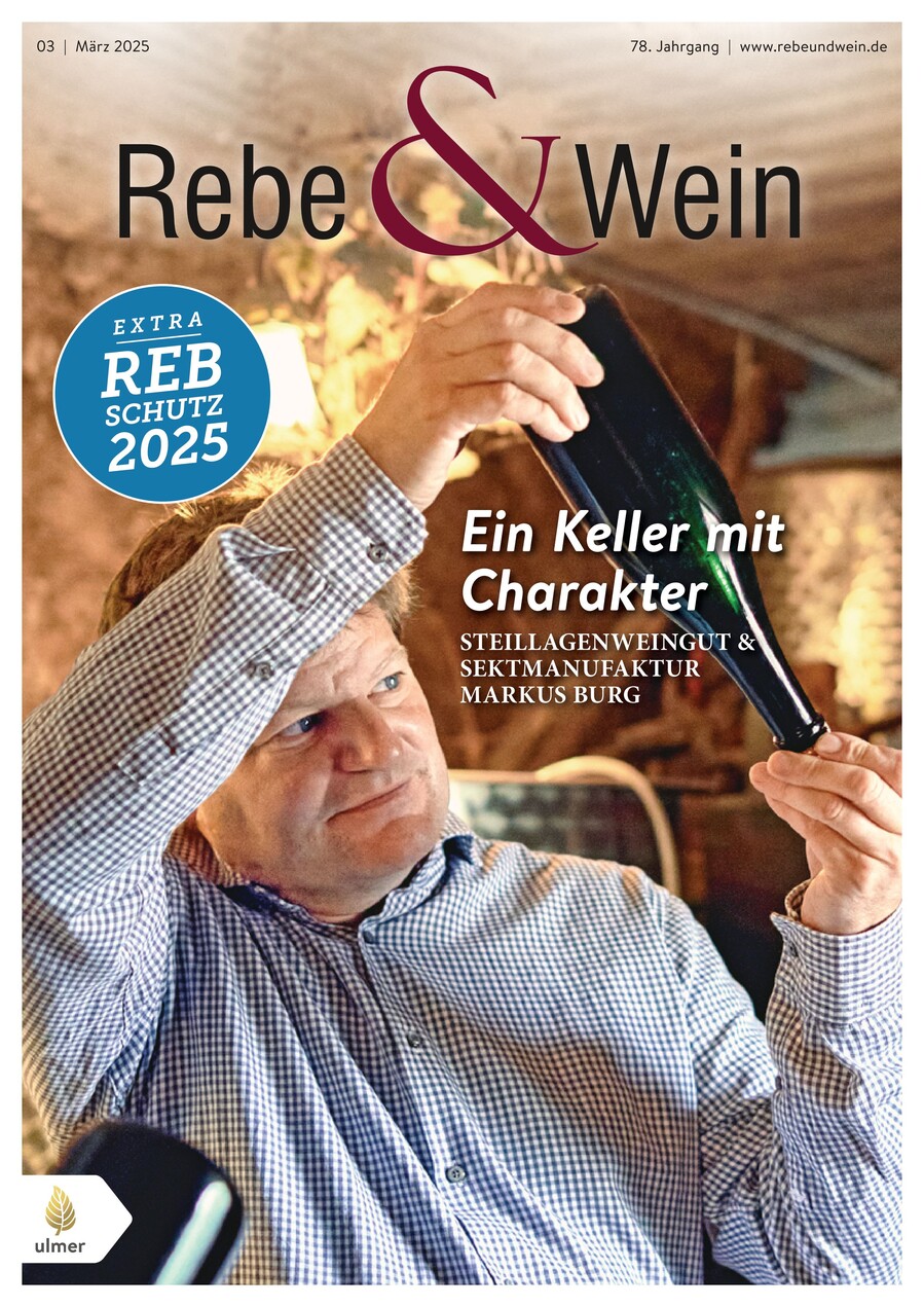 Weinbau und Weinwirtschaft - Rebe & Wein