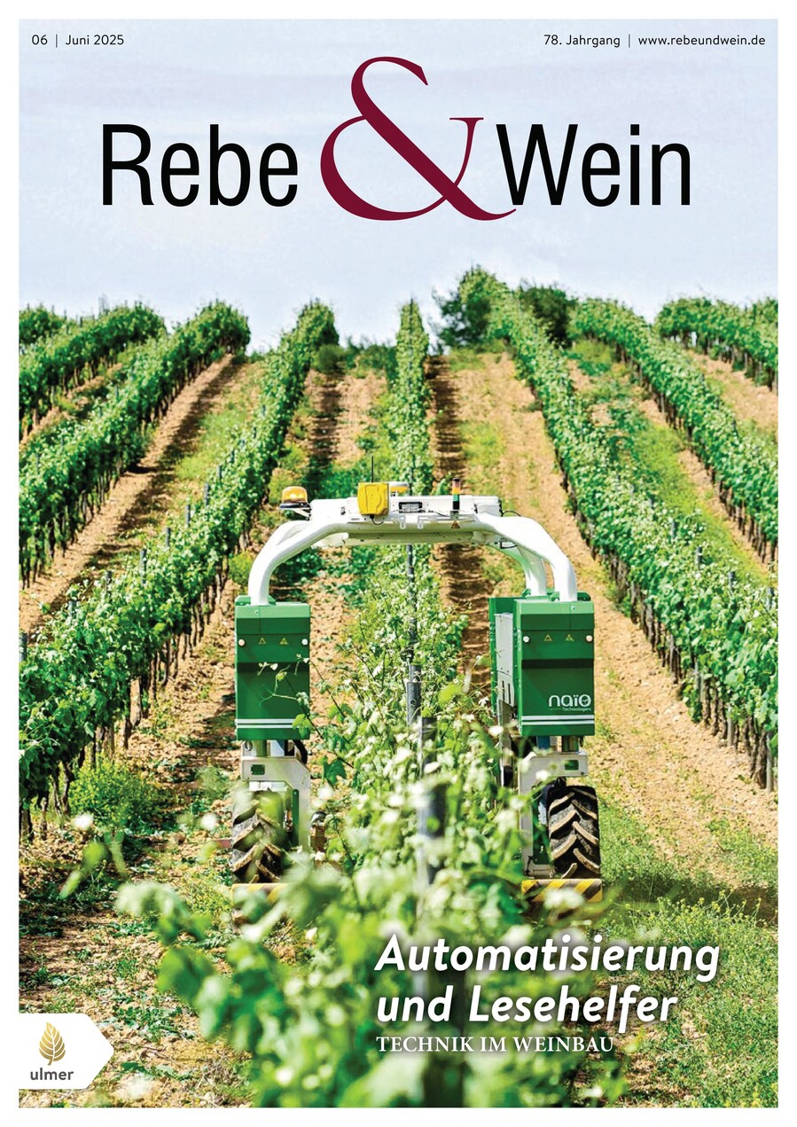 Weinbau und Weinwirtschaft - Rebe & Wein