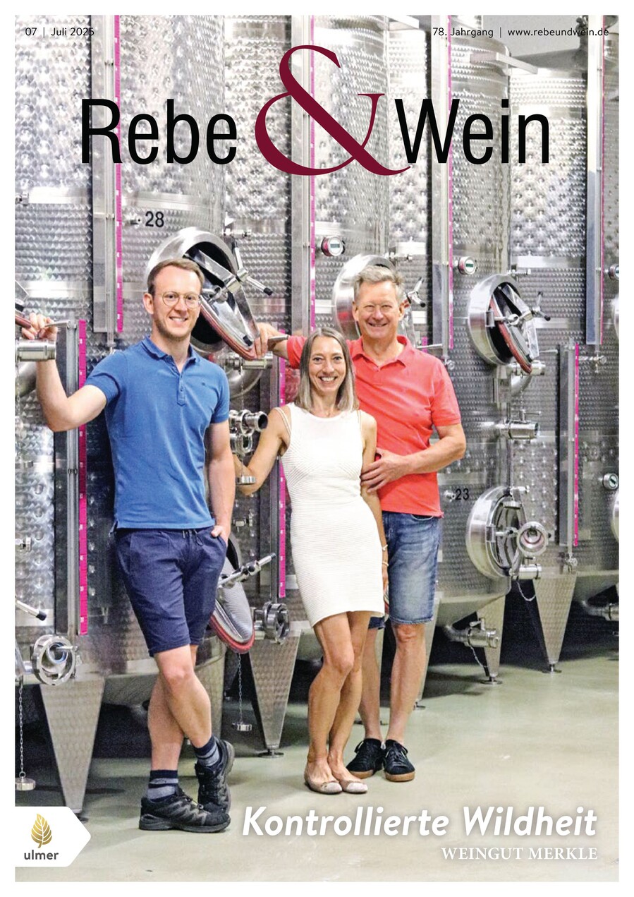 Weinbau und Weinwirtschaft - Rebe & Wein