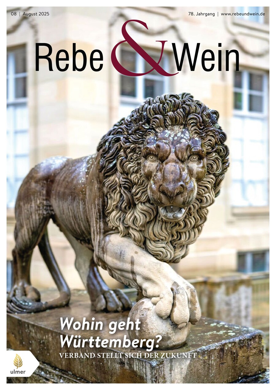 Weinbau und Weinwirtschaft - Rebe & Wein