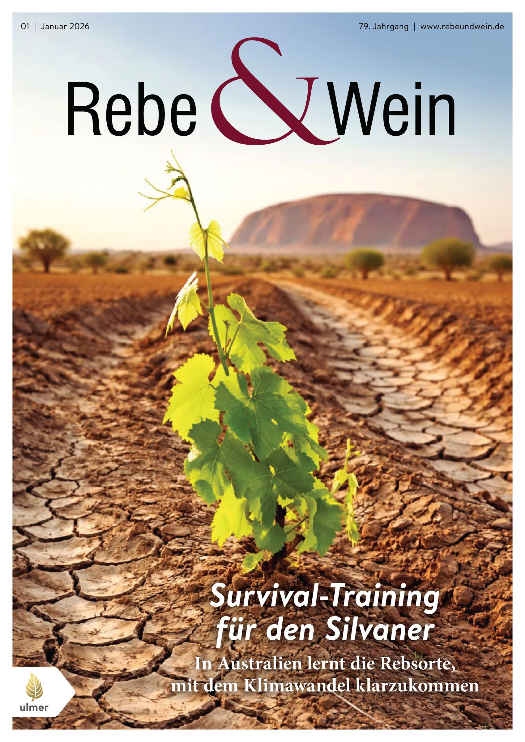 Sie planen eine neue Gemüse- oder Kartoffelhalle? - Rebe & Wein