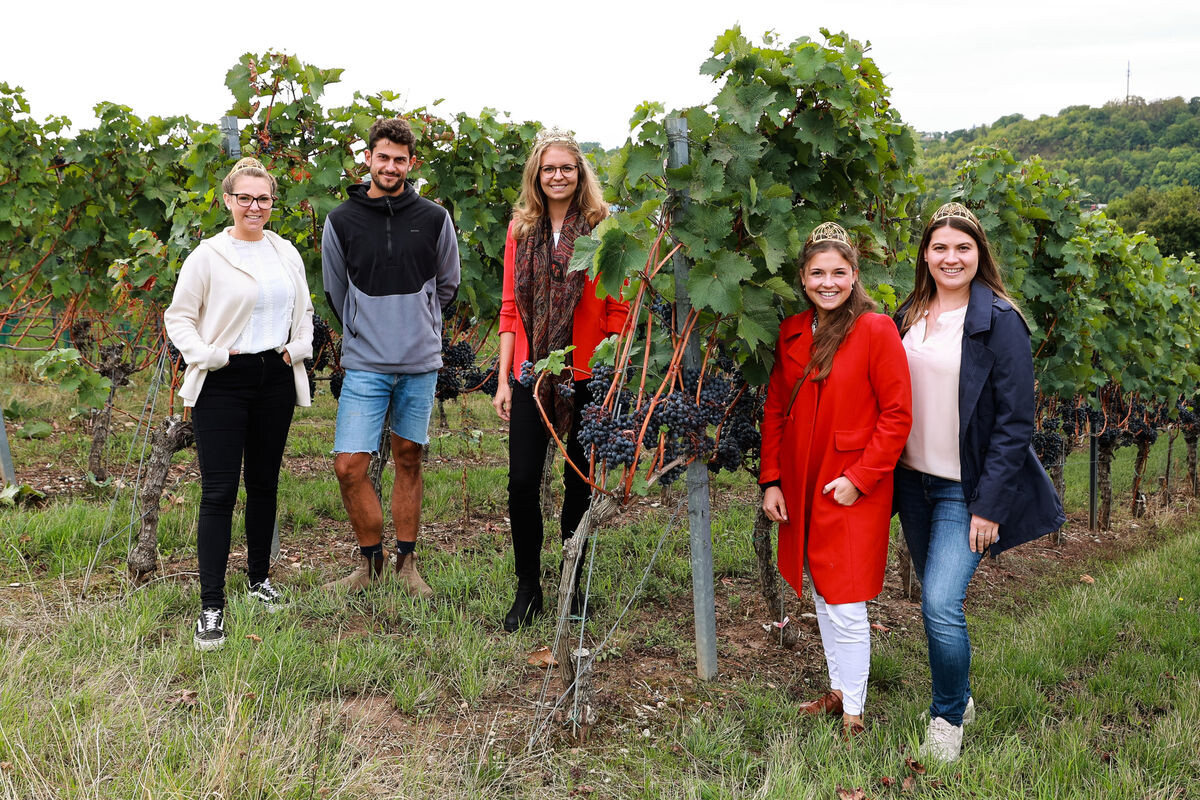 Royaler Besuch im fränkischen Weinanbaugebiet - Rebe & Wein