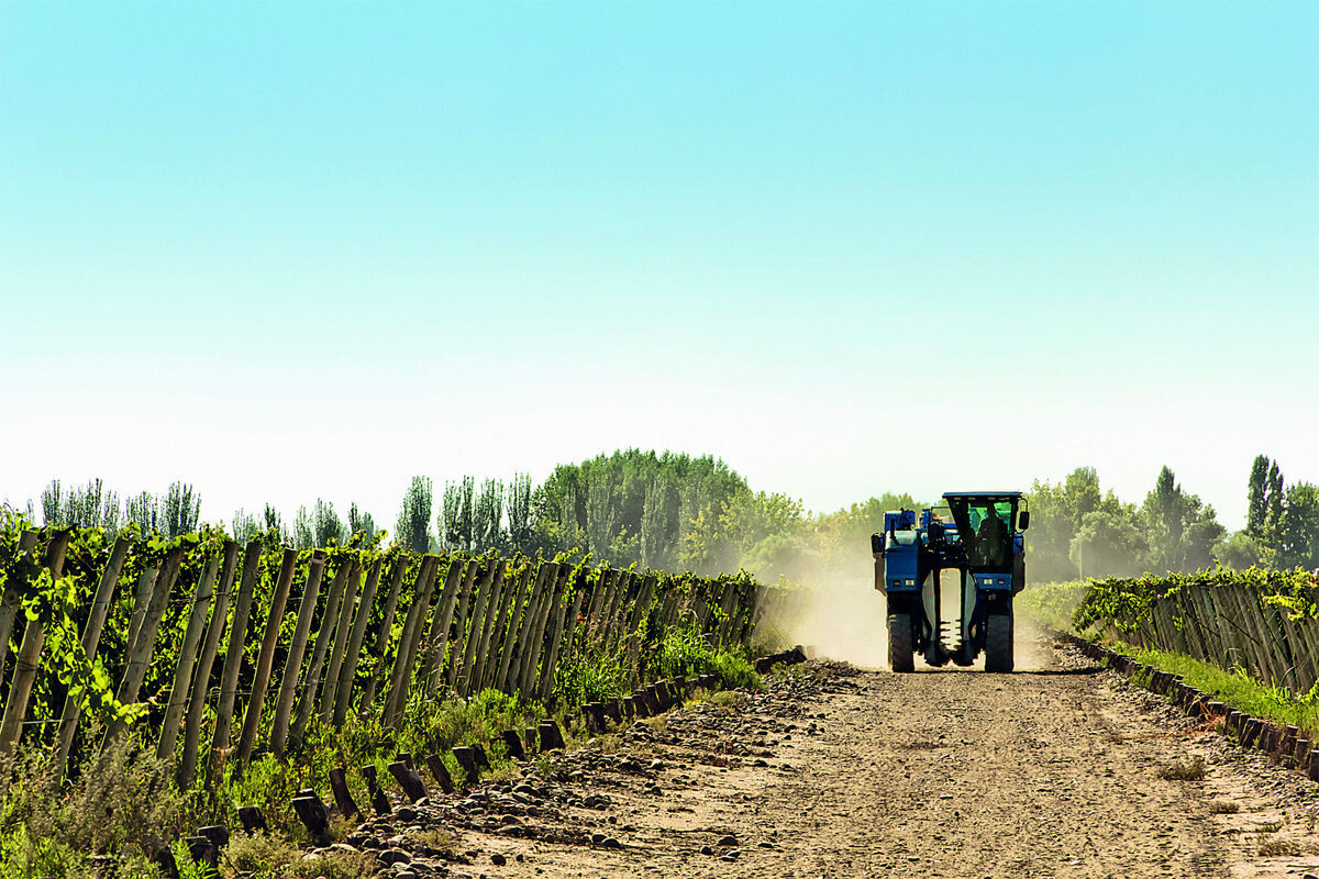 Intelligente Lösungen für Sonderkulturen - Rebe & Wein